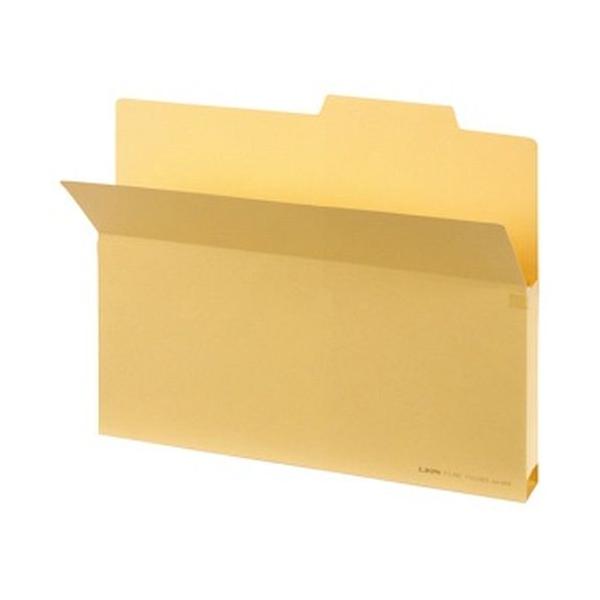 【商品説明】　○持出しフォルダー（懸案フォルダー）　　【詳細】　・製品寸法：幅（W）:192mm　・製品寸法：奥行（D）:271mm　・製品寸法：高さ（H）:30mm　●規格：B5判　●マチ部分は破れ防止用の補強テープ付