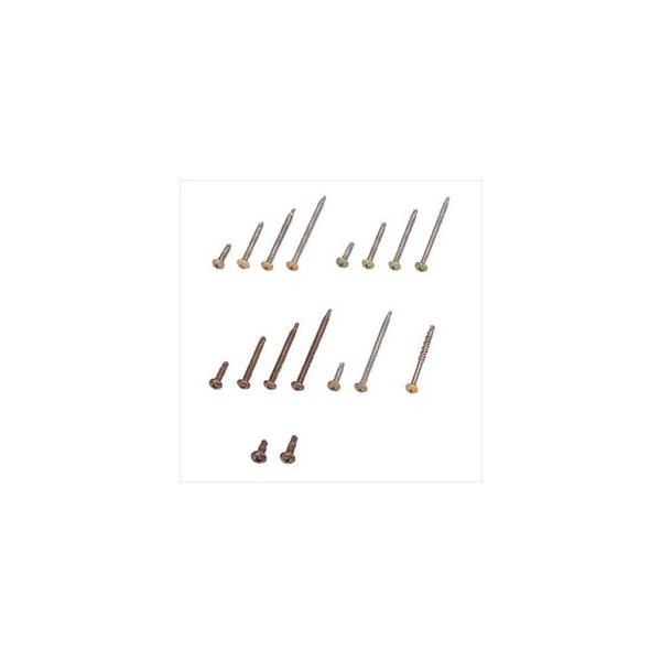 送料無料【タカショー】アングルに使えるビスです