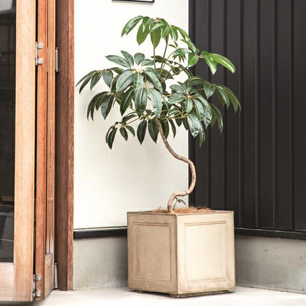 送料無料【トーシン】素材感にこだわった、本物志向のブランド。