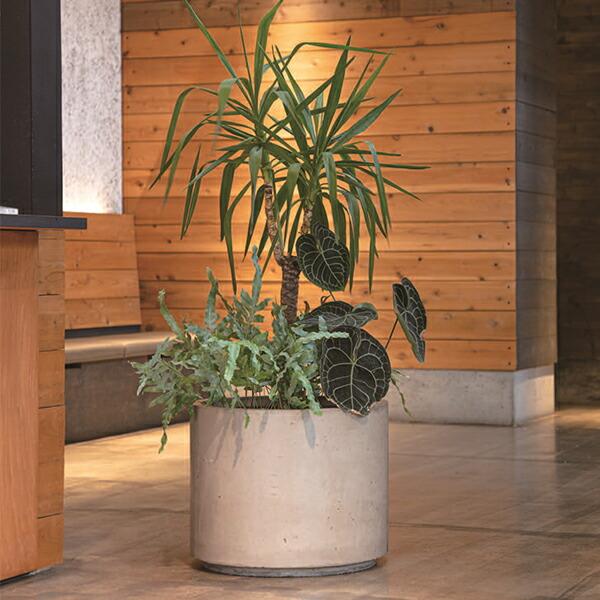 送料無料【トーシン】素材感にこだわった、本物志向のブランド。