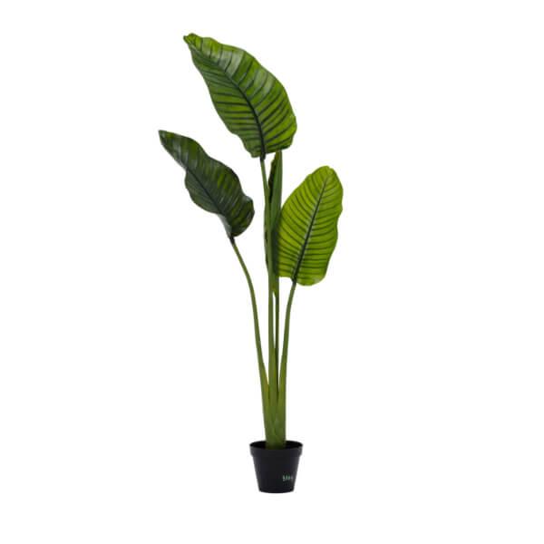 送料無料【グローベン】限りなく本物に近い人工植物で、手入れの少ない庭を実現！