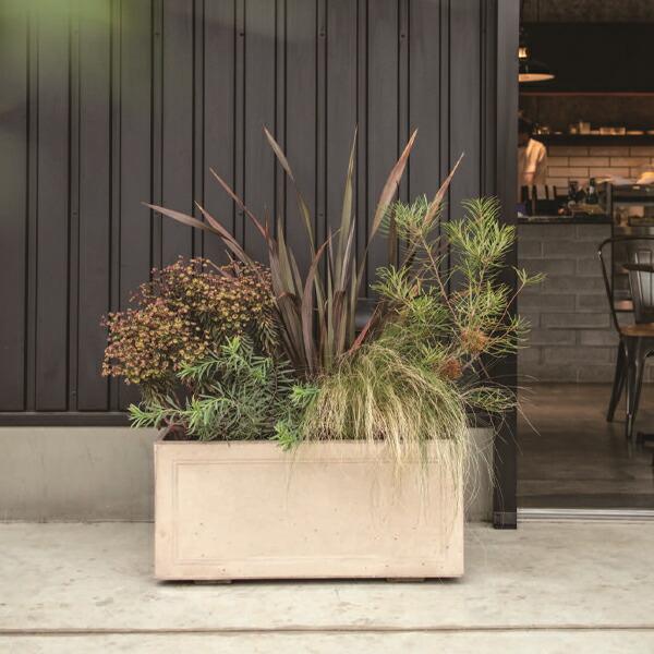 送料無料【トーシン】素材感にこだわった、本物志向のブランド。