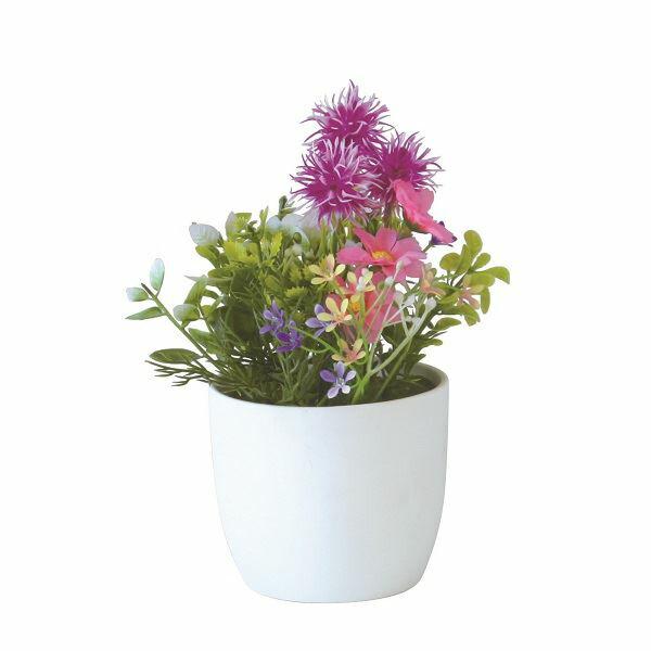 【東洋石創】変わらない姿で癒してくれる