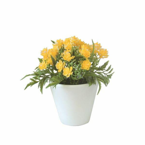 【東洋石創】変わらない姿で癒してくれる