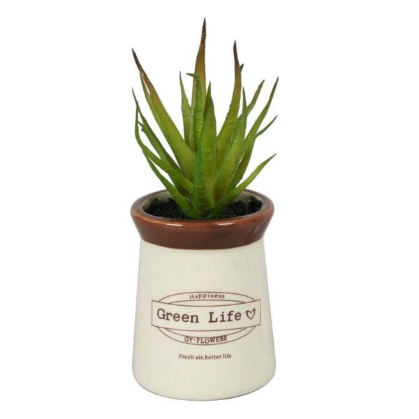 【東洋石創】変わらない姿で癒してくれる