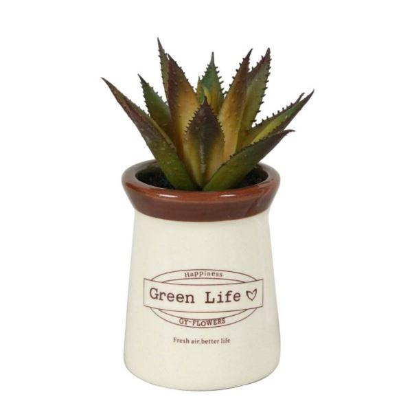 【東洋石創】変わらない姿で癒してくれる