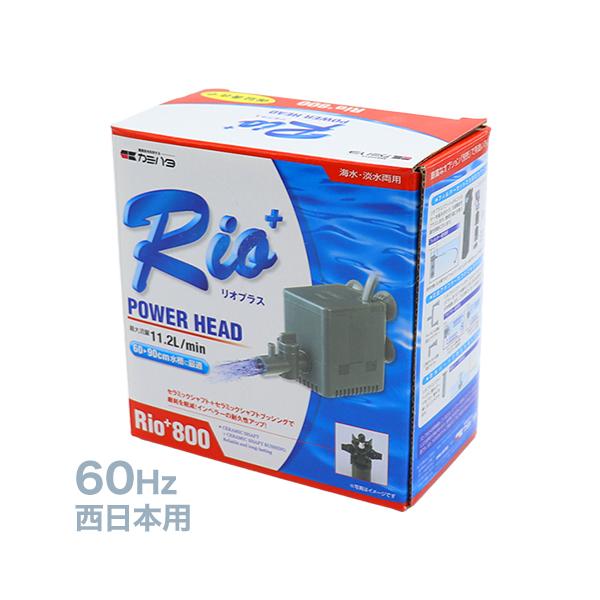 本体サイズ：63×43×60ｍｍ電源コード：約1.7ｍ80cm丸型ビニールプールに最適なミニ水流ポンプです。（120cm角型プールにはパワーが足りません。）！こちらの商品は西日本用です！ご購入前にご使用になる地域の周波数をご確認ください。一...