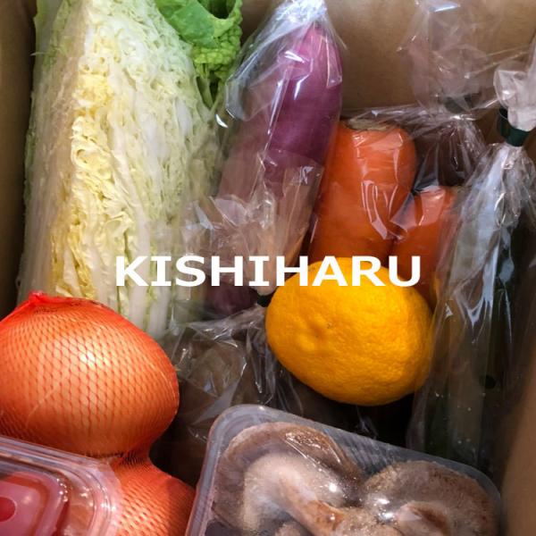 【参考例】・トマト・たまねぎ・じゃがいも・白菜・さつまいも・ミニトマト・人参・きゅうり・柚子・椎茸など