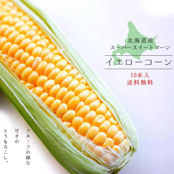 生食は到着後、2日以内内容量：10本朝もぎたてを産地直送しますので、のし・メッセージは不可です。8月中旬頃より収穫出来次第、順次発送となります。期日指定は不可天候にかなり左右される商品のため、農家さんが厳選してから美味しい状態の時に発送いた...