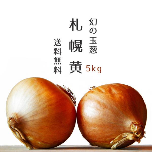 札幌黄※札幌黄は病気に弱い事。不揃いである事。また、全国に流通している通常の玉葱と比べて日持ちしない品種です。御理解の上お買い求めください。内容量：Lアップ5kg※サイズはLサイズ以上になります。サイズに関して御要望は承れません。【出荷時期...