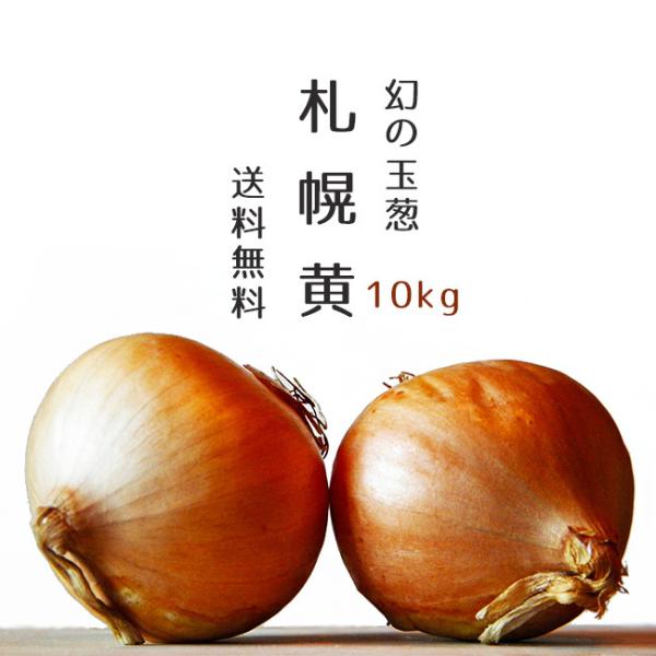 ※札幌黄は病気に弱い事。不揃いである事。また、全国に流通している通常の玉葱と比べて日持ちしない品種です。御理解の上お買い求めください。内容量：Lアップ10kg※サイズはLサイズ以上になります。サイズに関して御要望は承れません。【出荷時期】 ...
