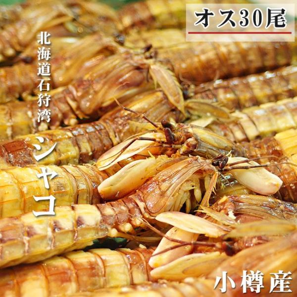 原材料名：シャコ(小樽産・石狩湾沖)、食塩内容量：オス30匹原産地名：北海道小樽前浜産保存方法：要冷凍(-18℃以下)で保存、解凍後、冷蔵保存で3日間注意発送方法発送は基本的に冷凍便の発送となります。但し、冷蔵商品との同梱の場合は冷蔵便で発...