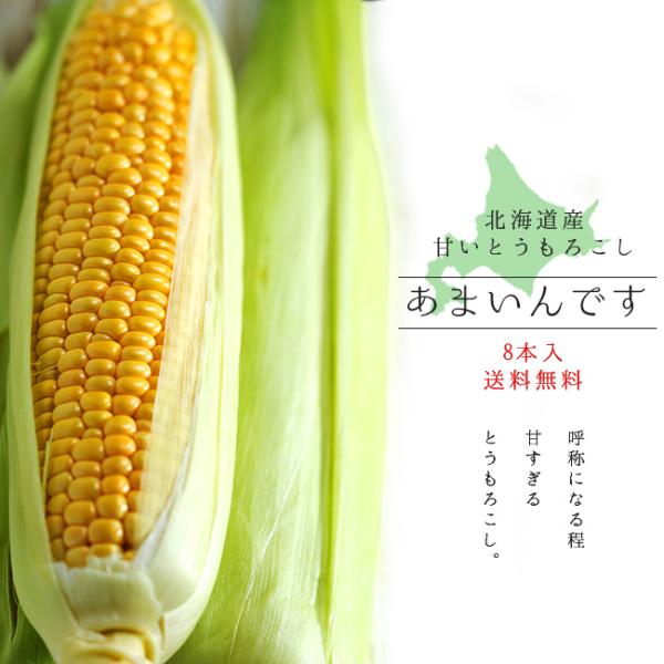 内容量：8本朝もぎたてを産地直送しますので、のし・メッセージは不可です。8月上旬頃より収穫出来次第、順次発送となります。期日指定は不可天候にかなり左右される商品のため、農家さんが厳選してから美味しい状態の時に発送いたしますので、その旨ご了承...