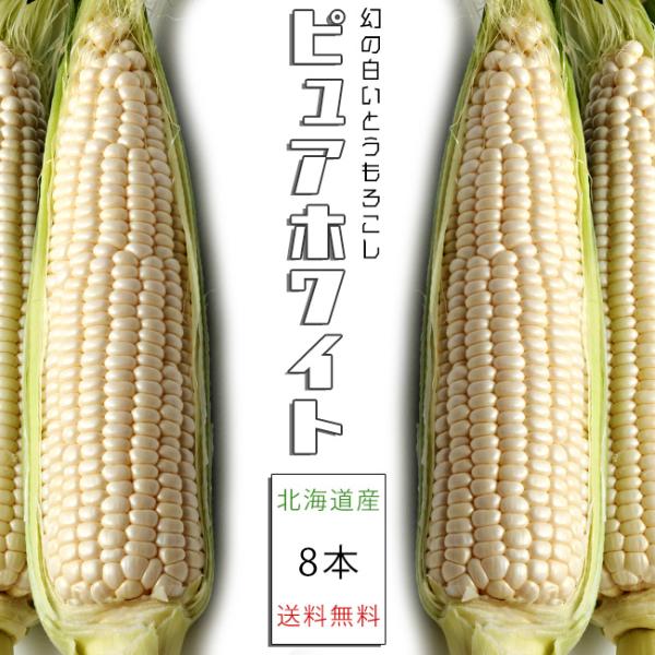 内容量：8本朝もぎたてを産地直送しますので、のし・メッセージは不可です。8月上旬頃より収穫出来次第、順次発送となります。期日指定は不可天候にかなり左右される商品のため、農家さんが厳選してから美味しい状態の時に発送いたしますので、その旨ご了承...