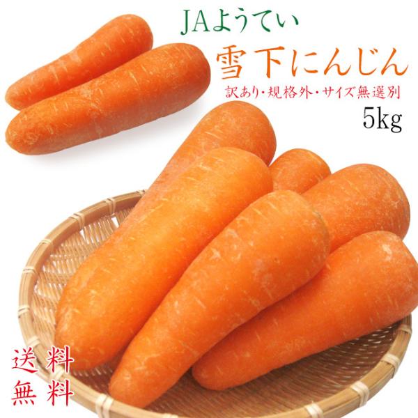 雪下にんじんとは、通常秋に収穫される人参を収穫せずそのまま残しておいて雪の下で越冬し、春頃に収穫する人参のことです。内容量：5kg※要冷蔵ご注文いただいてから、約4〜5日位かかる場合がございます。期日指定をいただきましてもご希望に添えない場...