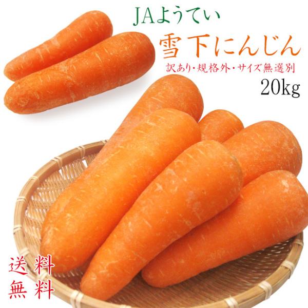 雪下にんじんとは、通常秋に収穫される人参を収穫せずそのまま残しておいて雪の下で越冬し、春頃にかけて収穫する人参のことです。内容量：20kg※要冷蔵ご注文いただいてから、約4〜5日位かかる場合がございます。期日指定をいただきましてもご希望に添...