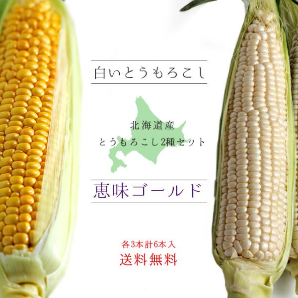 甘みが強く幻と言われる『白いとうもろこし』と、果皮が柔らかめで生でも美味しく食べられる『恵味ゴールド』の3本ずつ合計6本の2種セットです！※生食は到着後、2日以内内容量：合計6本恵味ゴールド：3本白いとうもろこし：3本朝もぎたてを産地直送し...