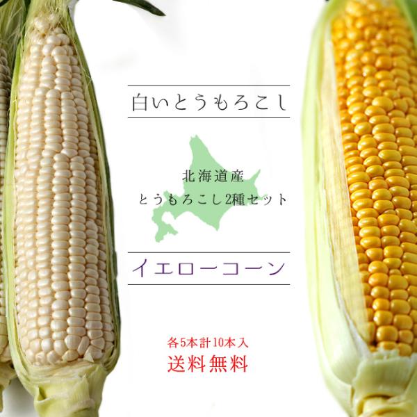 甘みが強く幻と言われる『白いとうもろこし』と、果皮が柔らかめで生でも美味しく食べられる『イエローコーン』の5本ずつ合計10本の2種セットです！※生食は到着後、2日以内■白5本・黄色5本：合計10本・イエローコーン(恵味ゴールド・味来のいずれ...