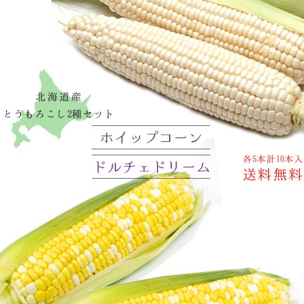規格 ドルチェドリーム×5本ホイップコーン×5本保存方法：要冷蔵●保存方法は冷蔵庫にて保存して下さい。到着後、すぐに調理し、なるべく早めにお召し上がり下さい。生のまま保存すると甘味が抜けますのでご注意下さい。●長期保存する場合は先に茹でて、...