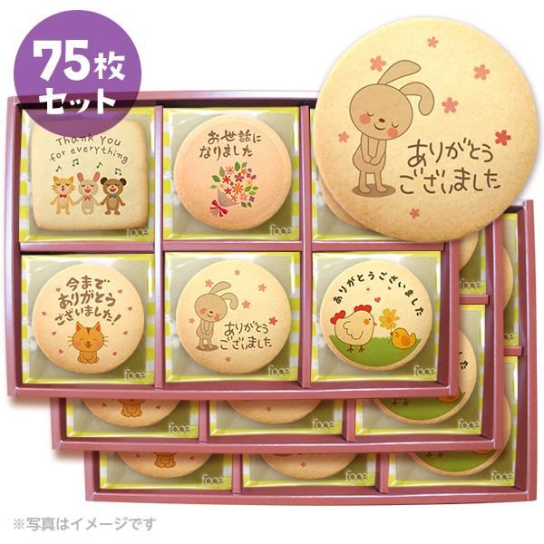 お取り寄せ プチギフト 個包装 おすすめ 誕生日 プレゼント お菓子 洋菓子 記念日 通販 フォチェッタ focetta