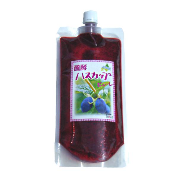 キーワード：ハスカップ 醗酵 北海道産 冷凍ピューレ アントシアニン 抗酸化成分・商品名：ハスカップ 生冷凍実 400g【TKSタングロン】・産地：北海道札幌市・発送元：TKSタングロン・特徴：北海道産で収穫したハスカップの実に三温糖とオリ...