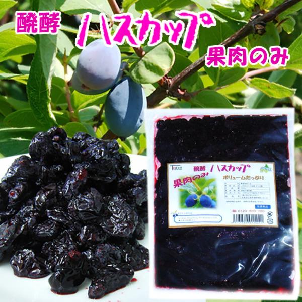キーワード：ハスカップ 果肉 北海道産 醗酵ハスカップ  アントシアニン 活性酸素 抗酸化成分・商品名：醗酵ハスカップ 果肉のみ 500ｇ【TKSタングロン】・産地：北海道札幌市・発送元：TKSタングロン・特徴：北海道産のハスカップを収穫し...