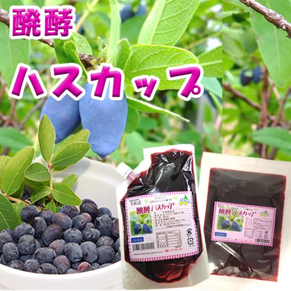 キーワード：ハスカップ 自然醗酵 北海道産 酵素 アントシアニン 活性酸素 抗酸化成分・商品名：醗酵ハスカップ 500g【TKSタングロン】・産地：北海道札幌市・発送元：TKSタングロン・特徴：収穫した実に三温糖・オリゴ糖を加え、ハスカップ...