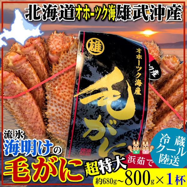 【発売日：2026年03月26日】雄武漁協の品質保証【特上黒ラベル】付きオホーツク海の分厚い流氷の下で豊富なプランクトンを食べて育った身の詰まった毛がにを風味を損なわないように浜茹でにした絶品繊細で肉厚な足や身はもちろん、甘みたっぷりで濃厚...