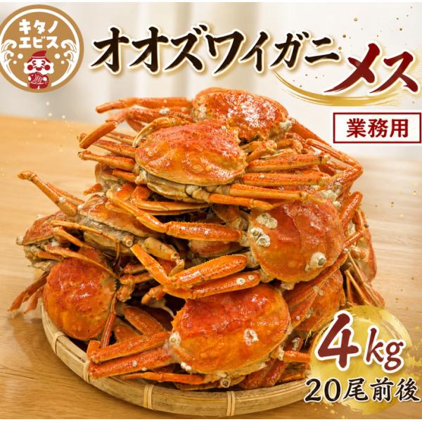 【発売日：2026年08月27日】◇◇◆業務用　北海道産オオズワイガニ姿　メス４kg　◆◇◇◆送料無料◆◆◆発送方法◆◆　ヤマトクール便　※冷凍状態でお届けします※最短お届けをご希望の方は日付の指定なしでご注文ください◆商品内容◆◆北海道産...