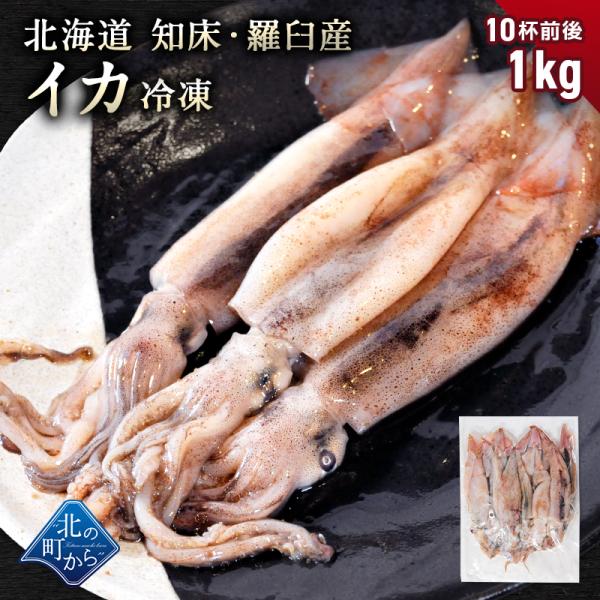 小ぶりでも旨みがぎゅっと詰まった、鮮度抜群のスルメイカ！