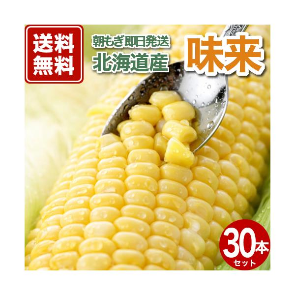 　季節限定トウモロコシ「味来（みらい）」北海道を代表する人気品種！（着日指定不可　7月中旬頃より順次発送開始）　北海道のトウモロコシ　（dk-4）