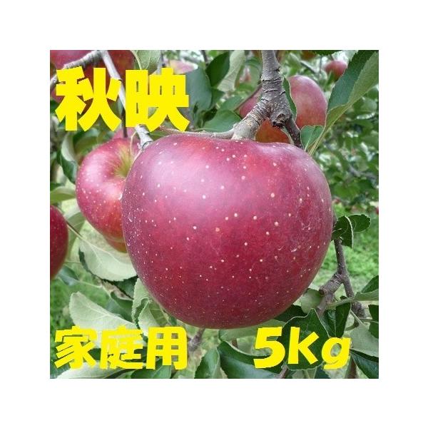 【発売日：2026年09月27日】＊10月中旬頃に順次発送予定です。＊１０月上旬頃より収穫予定です。（収穫時期は天候等により１０日ほど前後する場合ございます。ご理解、ご了承願います。）＊収穫後、ご注文順に順次発送いたします。（発送につきまし...