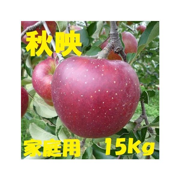 【発売日：2026年09月27日】＊１０月中旬頃に順次発送予定です。＊１０月上旬頃より収穫予定です。（収穫時期は天候等により１０日ほど前後する場合ございます。ご理解、ご了承願います。）＊収穫後、ご注文順に順次発送いたします。（発送につきまし...