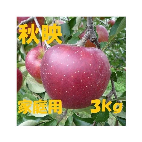 【発売日：2026年09月27日】＊10月中旬頃に発送予定です。＊１０月上旬頃より収穫予定です。（収穫時期は天候等により１０日ほど前後する場合ございます。ご理解、ご了承願います。）＊収穫後、ご注文順に順次発送いたします。（発送につきまして、...