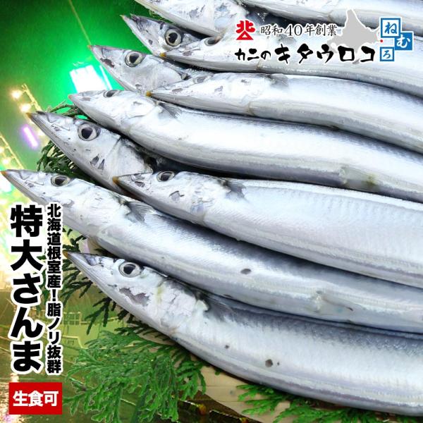 ■商品名：北海道根室産 冷凍さんま■内容量：1箱 1.5kg 9〜11尾入■原産国：北海道根室産■賞味期限：冷凍保管の場合は約1ヶ月。解凍後は冷蔵庫で保管し、当日中にお召し上がり下さい。■保存方法：冷凍庫（-18℃以下）で保存してください。