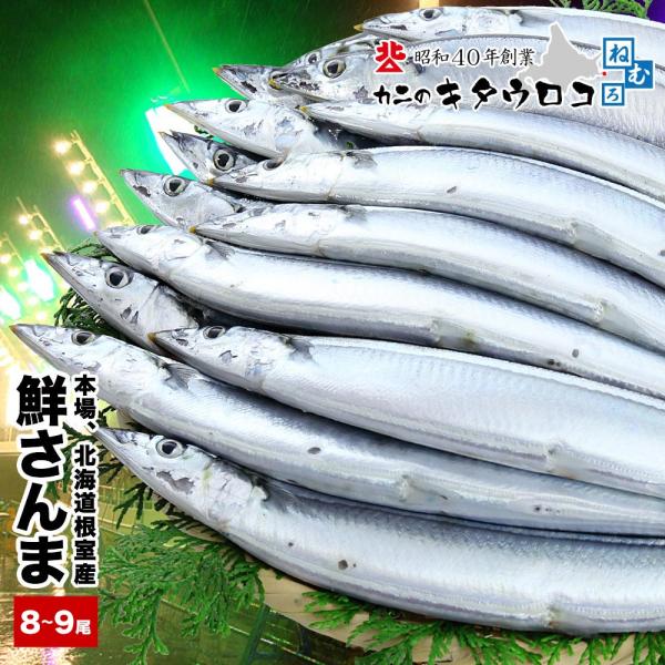 【発売日：2026年11月15日】■商品名：北海道根室産 鮮さんま■内容量：110〜120g前後×8〜9尾入 計1kg前後■原産国：北海道根室産■消費期限：到着後なるべく早くお召し上がり下さい。すぐに召し上がらない場合は冷凍保存してください...
