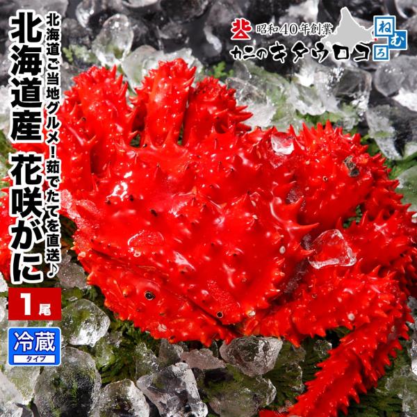 【発売日：2026年08月23日】■商品名：ボイル花咲がに■内容量：1尾 350gから500g前後■原材料：花咲がに（北海道産）、食塩■原産国：北海道産■消費期限：発送日から6日※生モノですので消費期限に関係なく到着後お早目にお召し上がりく...