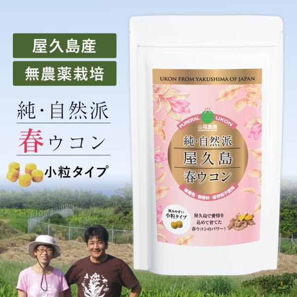 【屋久島の大自然のパワーをいただく】私たちがお届けするウコンのふるさと屋久島は、世界自然遺産に認定されるほどの豊かな森であふれています。苔で覆われた神秘的な太古の森は、水を貯え浄化し、清らかな水を里へと運んでくれます。そんな豊かな自然の中で...