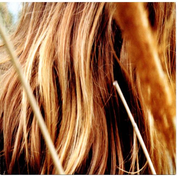 盤面などの状態：盤面に細かな傷が複数と引っ掻き傷が数本あります。印刷物の状態：特に汚れやいたみはありません。EAN/UPC/JAN：0620675152226レーベル/メーカー：Where Are My Recordsカタログ＃：wam01...