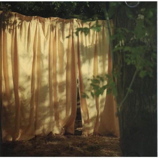 盤面などの状態：盤面に小さな点傷が数か所あります。印刷物の状態：ジャケスリーブにプラケースの突起による噛みあとがあります。EAN/UPC/JAN：SC04レーベル/メーカー：Skinny Chestカタログ＃：SC04音楽スタイル：Alte...