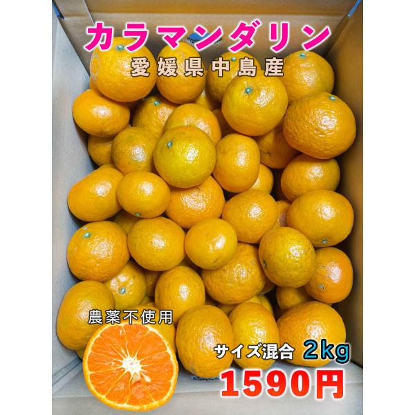 【発売日：2026年04月18日】みかん、カラマンダリンの販売です。栽培期間中は農薬不使用で、自家製有機堆肥（馬糞堆肥）を使い、土づくりを大切にしています。サイズはどちらかというと小玉が多いと思います。糖度は14〜16度前後で濃厚な甘さと酸...