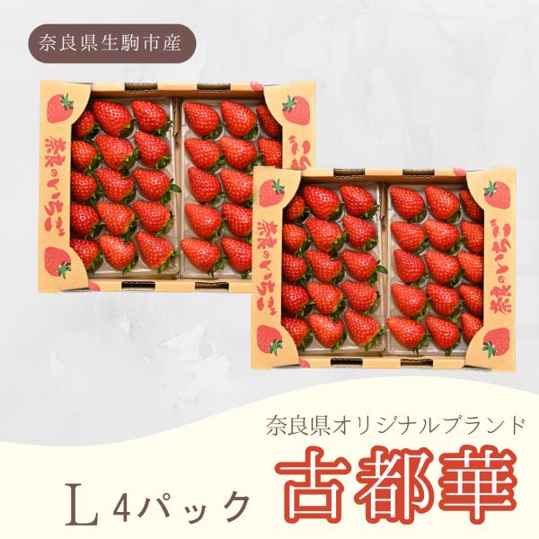 ■商品詳細・商品名：奈良県産 古都華いちご・品種　：古都華・内容量：Lサイズ（15粒入り）×4パック　※大きさ・形は生育状況や時期により多少異なります・産地　：奈良県生駒市■特徴・こだわり古都・奈良で生まれた希少品種「古都華」は、果皮はツヤ...