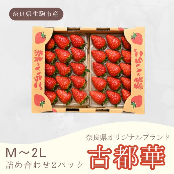 ■商品詳細・商品名：奈良県産 古都華いちご・品種　：古都華・内容量：M、L、2Lサイズのうちいずれか×2パック　※大きさ・形は生育状況や時期により多少異なります・産地　：奈良県生駒市■特徴・こだわり古都・奈良で生まれた希少品種「古都華」は、...