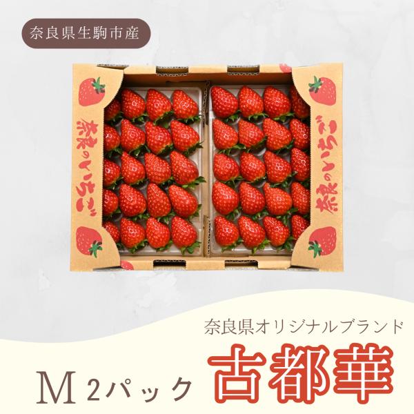 ■商品詳細・商品名：奈良県産 古都華いちご・品種　：古都華・内容量：Mサイズ（20粒入り）×2パック　※大きさ・形は生育状況や時期により多少異なります・産地　：奈良県生駒市■特徴・こだわり古都・奈良で生まれた希少品種「古都華」は、果皮はツヤ...