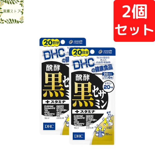 【商品名】醗酵黒セサミン+スタミナ 20日分【内容量】20日分（120粒）×2パック【使用方法】1日6粒を目安にお召し上がりください。一日摂取目安量を守り、水またはぬるま湯で噛まずにそのままお召し上がりください。【ご注意】お身体に異常を感じ...