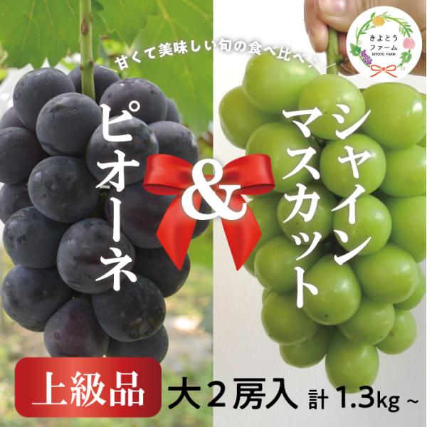 【内容量】岡山県産　ピオーネ＆シャインマスカット　特大２房　（計1.3kg~）【※必ずご確認ください】 ※収穫次第発送となります。 ※配達日の指定は受付できません。 ※長期不在があれば必ずご連絡ください。 ※こちらは冷蔵便にて発送いたします...