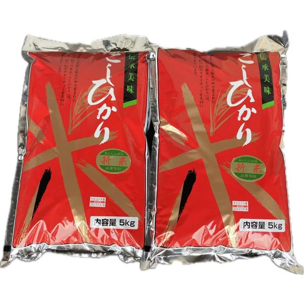 【数量限定送料無料！】一度食べてみてください！とてもおいしいお米です！使い勝手の良い　5ｋｇｘ2袋　化粧箱入り（白米10ｋｇ）コシヒカリです。中山間地域なので生活排水などのないきれいな水で栽培されております。1枚1枚形の違う棚田での栽培　冷...