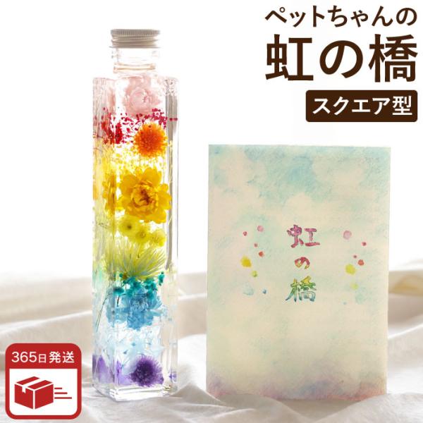 【当店をよくご利用いただくシーン】◆長寿祝い還暦 60歳 古希 70歳 喜寿 77歳 傘寿 80歳 米寿 88歳 卒寿 90歳 白寿 99歳 百寿 100歳 茶寿 108歳 皇寿 111歳 大還暦 120歳◆結婚記念日紙婚式 綿婚式 革婚式...