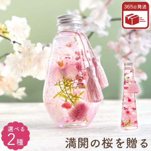 【 桜 ハーバリウム L 】『ありがとう』『おめでとう』大切なキモチをぎゅっとこめていつもそばで満開の桜を楽しんでほしいから♪祝電、卒業祝い、入学祝い、合格祝い、花見に、父の日や母の日、お誕生日の贈り物に ◎●ご用途：誕生日 プレゼント 桜...