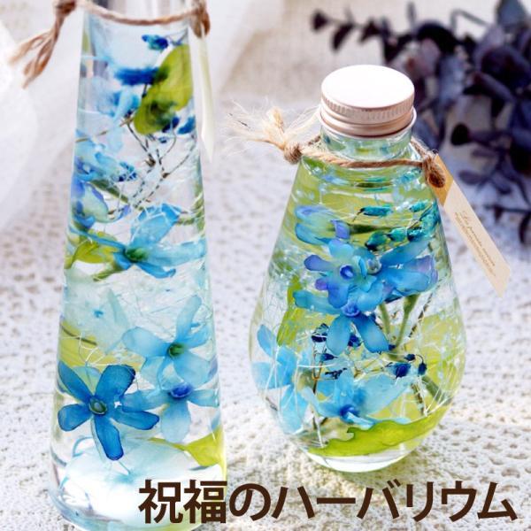 【 ブルースターハーバリウム　L 】花言葉「信じあう心」「幸福な愛」のブルースターを使った結婚祝いにお勧めのハーバリウム。結婚祝いとして愛されているサムシングブルーの贈り物でい〜っぱいの笑顔がこぼれますように。友人への結婚祝い、大切な女性へ...